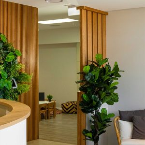 Glosswood Lining Archives - Subiaco Restoration